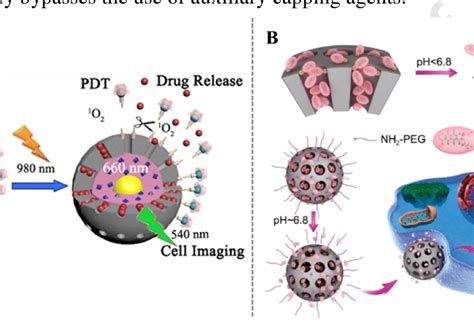 A Schematic Illustration Of A Core Shell Shell Structured Download Scientific Diagram