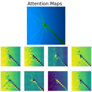 Fine Tuning Vision Transformer And Visualizing Attention Maps