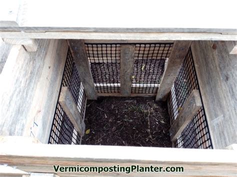 Vermicomposting Planter Update Red Worm Composting