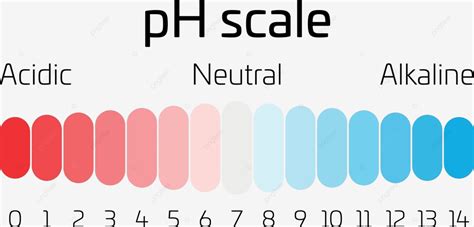 The Ph Scale A Chemistry Measure Of Acidity Or Basicity Through Ph
