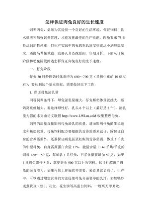 怎样保证肉兔良好的生长速度
