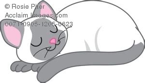 Sleeping Cat Clipart 19 Free Cliparts Download Images On Clipground 2025