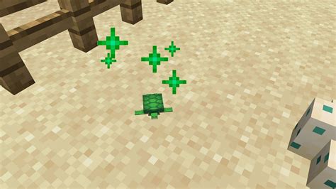 How To Get Turtle Shells In Minecraft 118