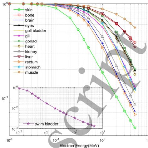 Self Af Values For Electrons In The Voxelized Scomber Japonicus Phantom Download Scientific