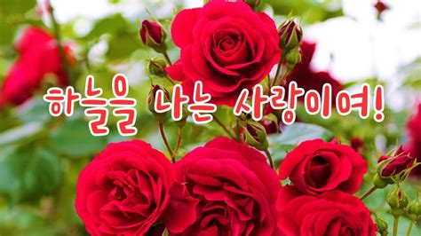 하늘을 나는 사랑이여 💍💕 사랑도 비행한다👰‍♀️🤵 두 사람의 다짐이 빛나는 날 ️ 15년 공군 파일럿 우탁의 멋진 첫 비행🌸 김영과 함께 날아오르는 사랑의 하늘길