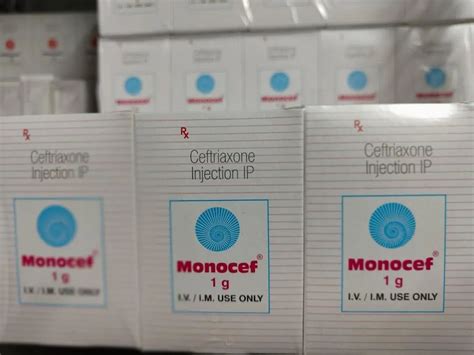 Liquid Monocef Injection 1 Gm At Rs 25 Vial In Surat Id 25590459030