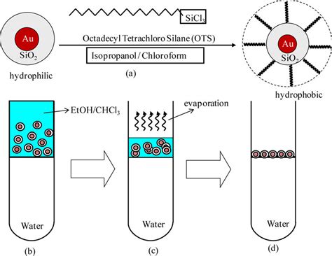 Scheme 2 Schematic Picture Of The Procedures For The Synthesis Of