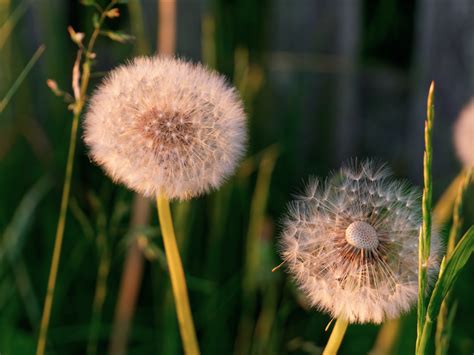 Affinity Not Showing Colour As Output Is Shown Pre V2 Archive Of Desktop Questions MacOS And