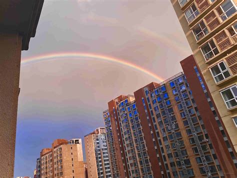 中国 Flutter 使用指南：本地镜像解锁稳定依赖 Bytezonex社区