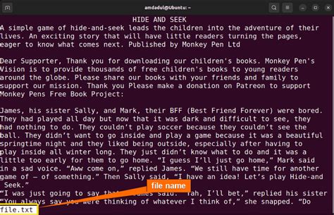 The “less” Command In Linux 10 Practical Examples