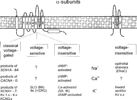 Malignant Hyperpyrexia Due To Anesthesia Semantic Scholar