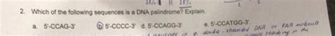 Solved Which Of The Following Sequences Is A Dna Palindrome