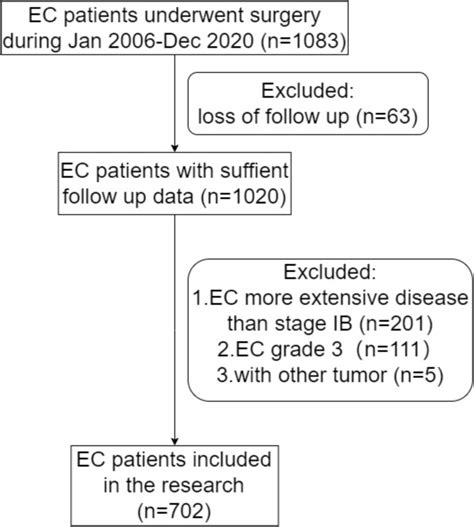 Prognostic Significance Of Lymphovascular Space Invasion In Early Stage Low Grade Endometrioid