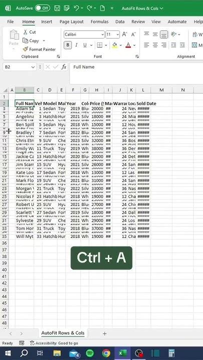 How To Instantly Autofit Rows And Cols Youtube