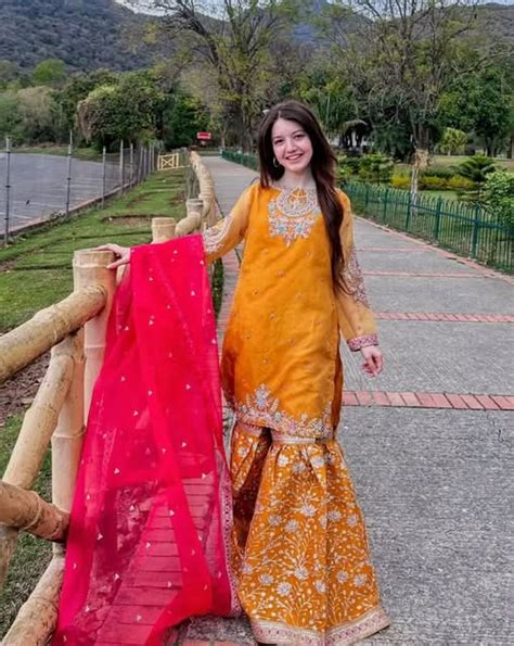 নারীশিক্ষার প্রচার করতে গিয়েই খুন সানা বাড়িতে ঢুকে পাকিস্তানি ইনফ্লুয়েন্সারকে একের পর এক