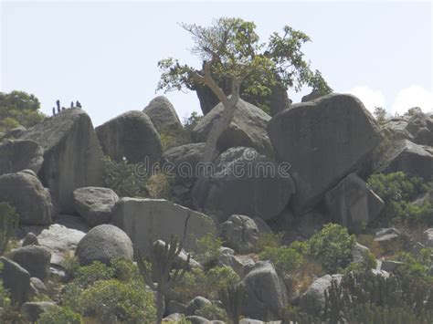 Travelling Around Eritrea In Summer Days Stock Image Image Of Eritrean Green