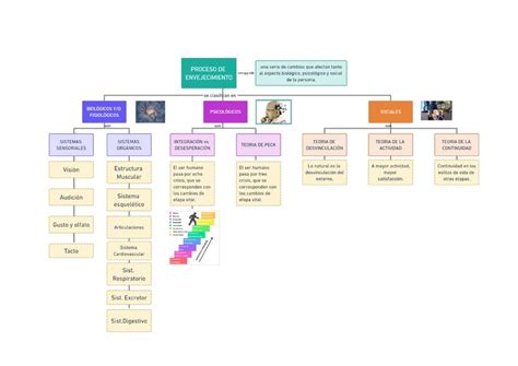 Proceso De Envejecimiento Rut De La Cruz Udocz