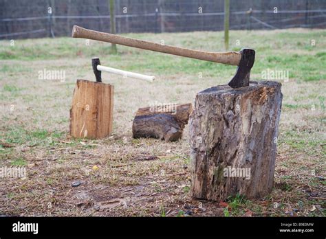 TWO AXE STUCK IN TREE STUMPS SPLITTING LOGS BEHIND HUNTING LODGE Stock Photo Alamy