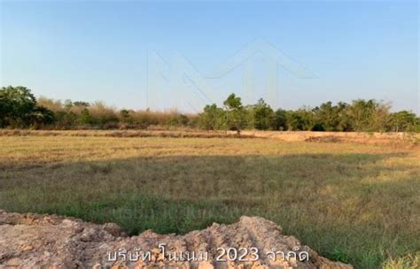 ขายที่ดินเปล่าเจ้าของขายเองติดถนนในซอยแนวลึกยาวติดกันมีบ่อน้ำ2จุดตำบลคำตโนดอำเภอประจันตคาม