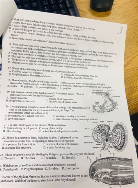 Solved In Class We Learned That No Single Feature Defines