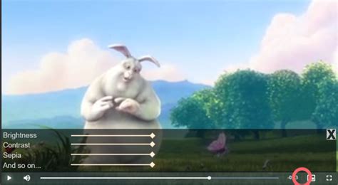 Custom Video Overlay · Issue 7138 · Videojsvideojs · Github