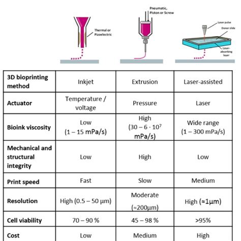 Major Three Dimensional Bioprinting Techniques And Their Specific