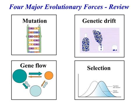 Species And Speciation Ppt