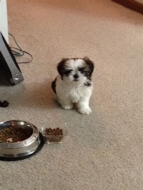 Posing For Mama 😊 Cute Photos Poses Mama