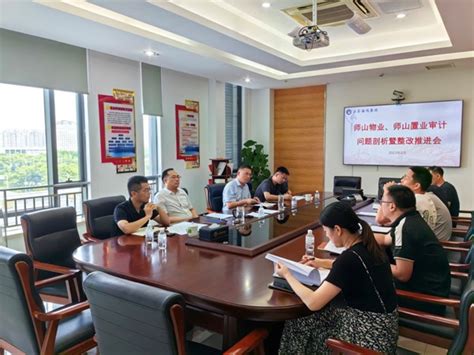 江苏海鸿投资控股集团召开内部审计发现问题 剖析暨整改推进专题会议 内部审计