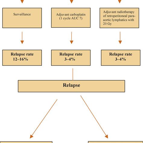 Treatment Algorithm After Orchiectomy According To Individual Risk Download Scientific Diagram