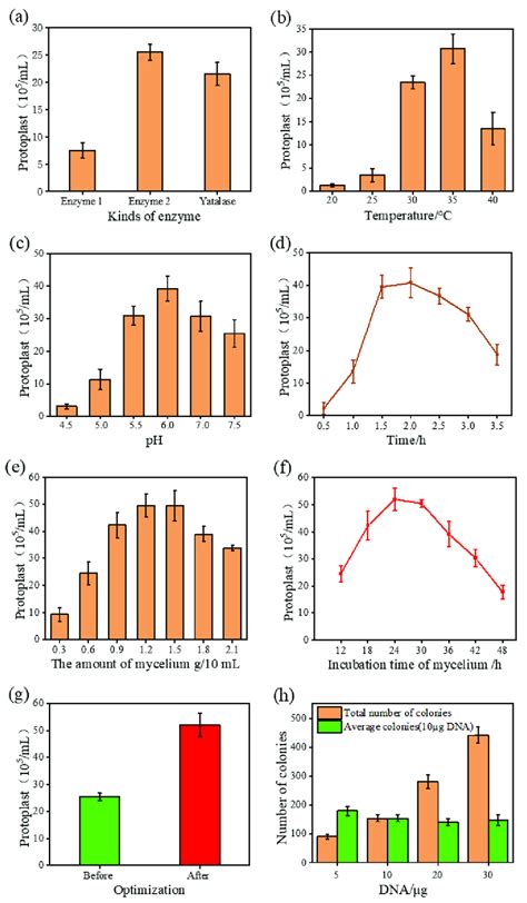 Optimization Of Conditions For Protoplast Preparation A Comparison Download Scientific