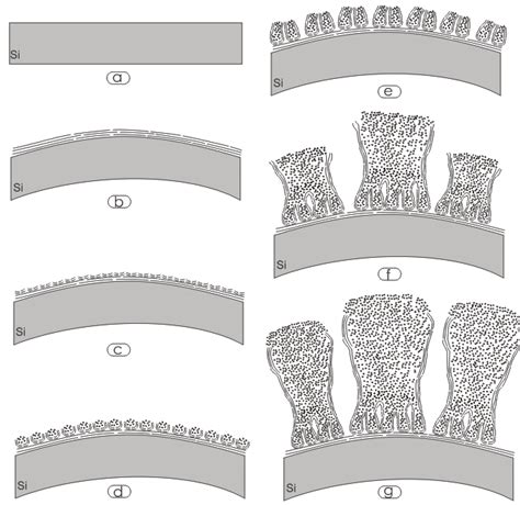 Schematic Illustration Of The Formation Of Carbon Nanopillars Download Scientific Diagram