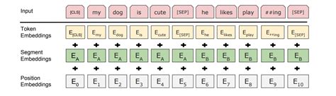Posit Ai Blog Bert From R