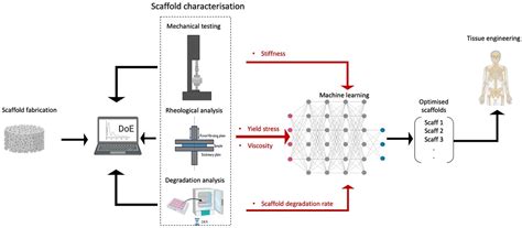 Machine Learning In Biomedical Science