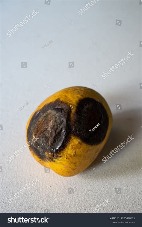 Shape Rotting Mango Stock Photo Shutterstock