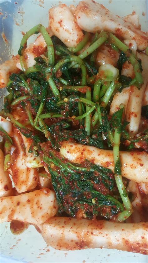 총각김치 자유게시판 딜바다닷컴