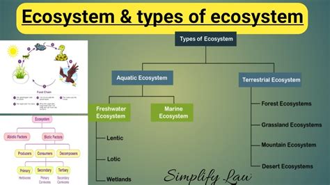 Ecosystem Different Types Of Ecosystem Environmental Science EVS Simplify Law Lawdio