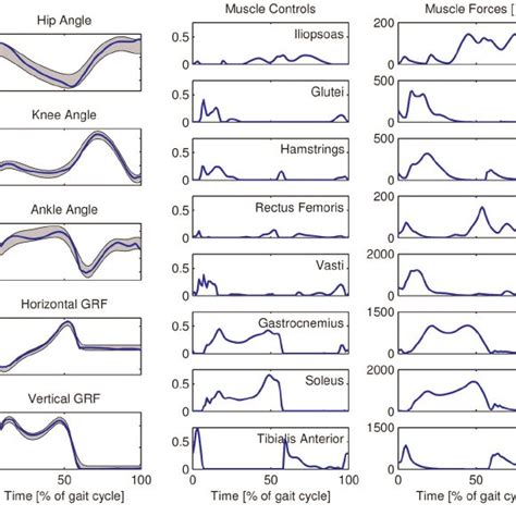 Pdf Predictive Musculoskeletal Simulation Using Optimal Control