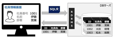 Pythonでのsqlite操作とsql・select文によるデータ抽出方法解説｜データベース・プログラミング入門 Dxcel Wave