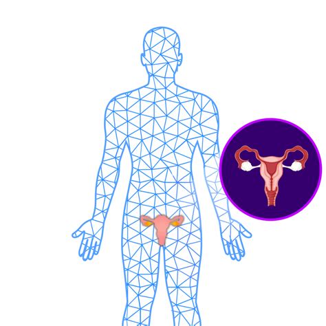 Fitpaa Pcod Control Personal Health Packs Take Control Of Your Pcod Fitpaa