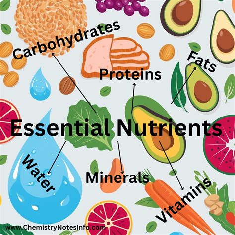 Chemistry Nutrition And Importance Of Essential Nutrients In Our Balanced Diet Carbohydrates