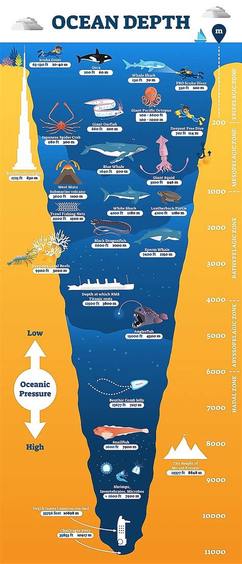 The Ocean Zones