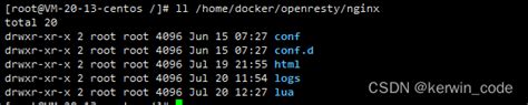 使用docker安装openresty并使用lua脚本实现通过请求头动态路由openresty Docker Csdn博客