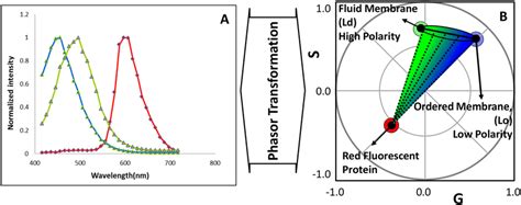 Spectral Phasor Transformation And The Three Component Analysis A