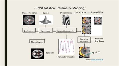 Statistical Parametric Mapping PPTX