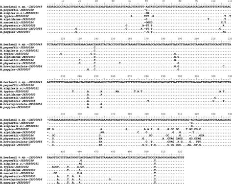 Alignment Performed By Bioedit Software Hall 1999 For The
