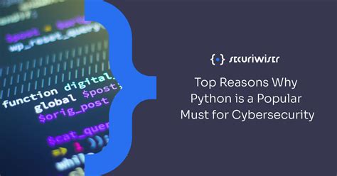 Top Reasons Why Python Is A Popular Must For Cybersecurity