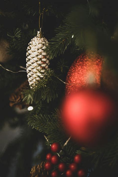 Art Tree Glitz 가지 겨울 계절 골드 글램 기쁨 녹색 매달린 반짝반짝 빛나는 반짝이 빨간 상록수 소나무 식물 실내 장식 연말연시