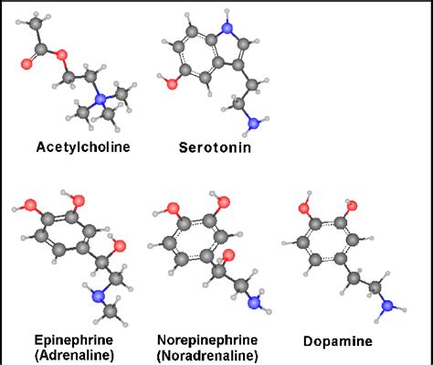 2 2 2 The Chemical Structures Of Several Neuro Modulators And Download Scientific Diagram