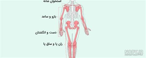 عکس اسکلت هشتم عکس نودی